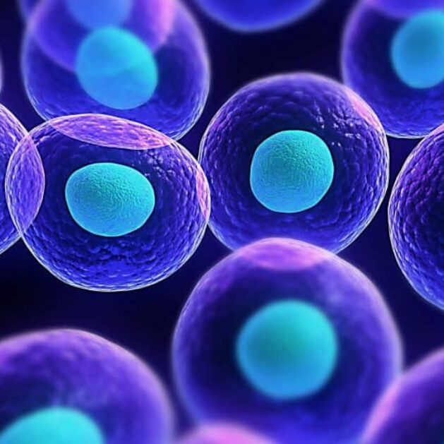 Diverse Cellule Del Corpo